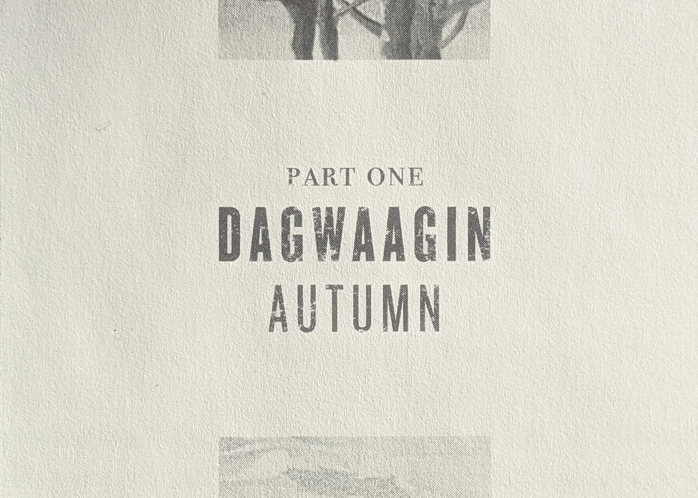 Claiming Space for Indigenous Languages in English Literature | Open Book