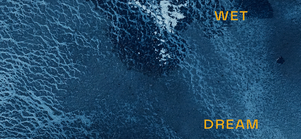 Erin Robinsong Discusses Her New Collection, Wet Dream, a Clarion Call ...