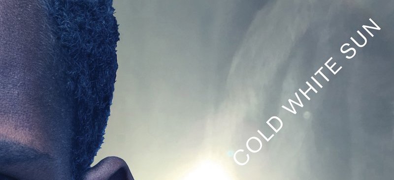 Excerpt! Experience the Power of Sue Farrell Holler's Cold White Sun ...