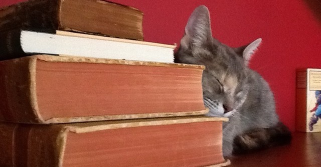 Inside GG Award Winning Author Terry Griggs' Bright Red, Virginia Woolf ...