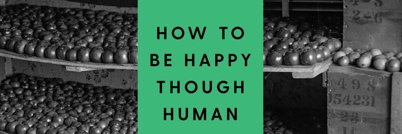 Kate Camp on Inspiration, the Beauty of the Ordinary, and Falling ...