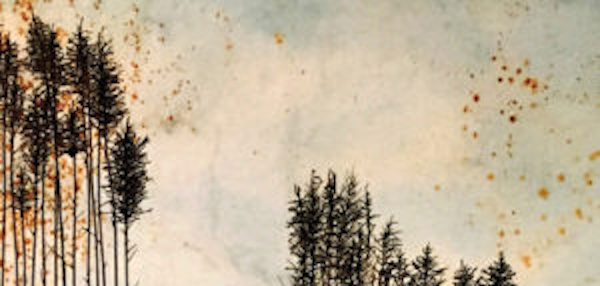 Maureen Hynes on the Allure of the Ordinary and Wrestling Poetry into ...