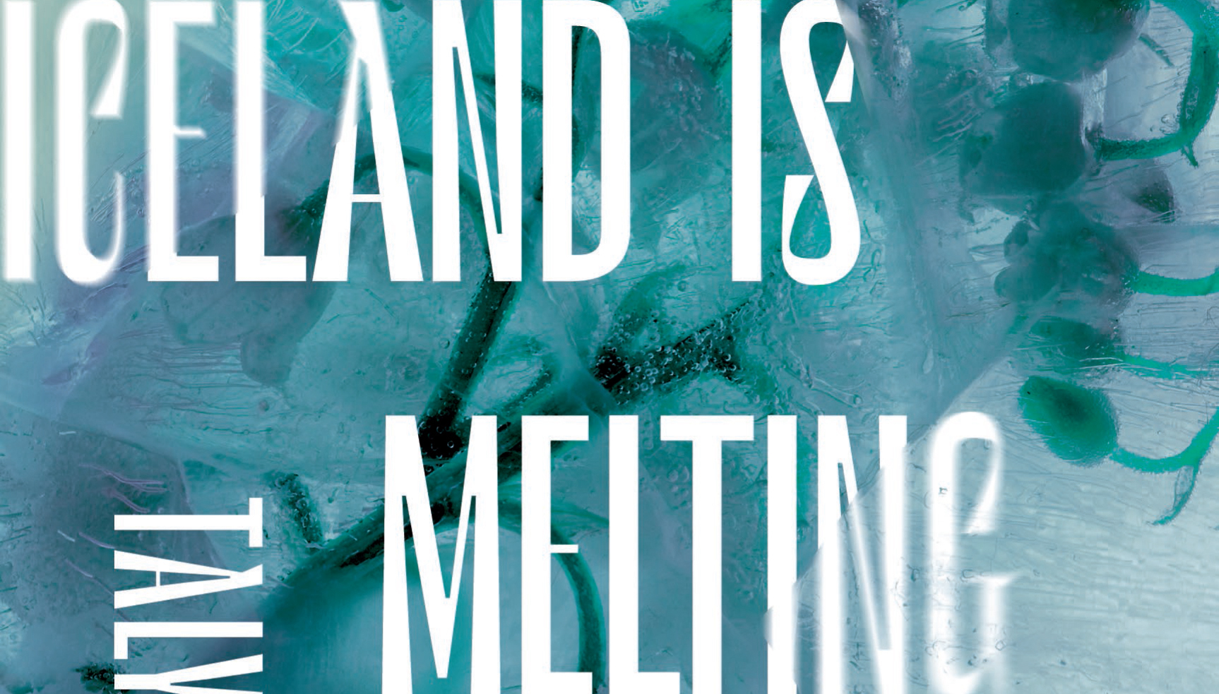 Poet Talya Rubin on Glacier Funerals, Sacred Family Books, and "How ...