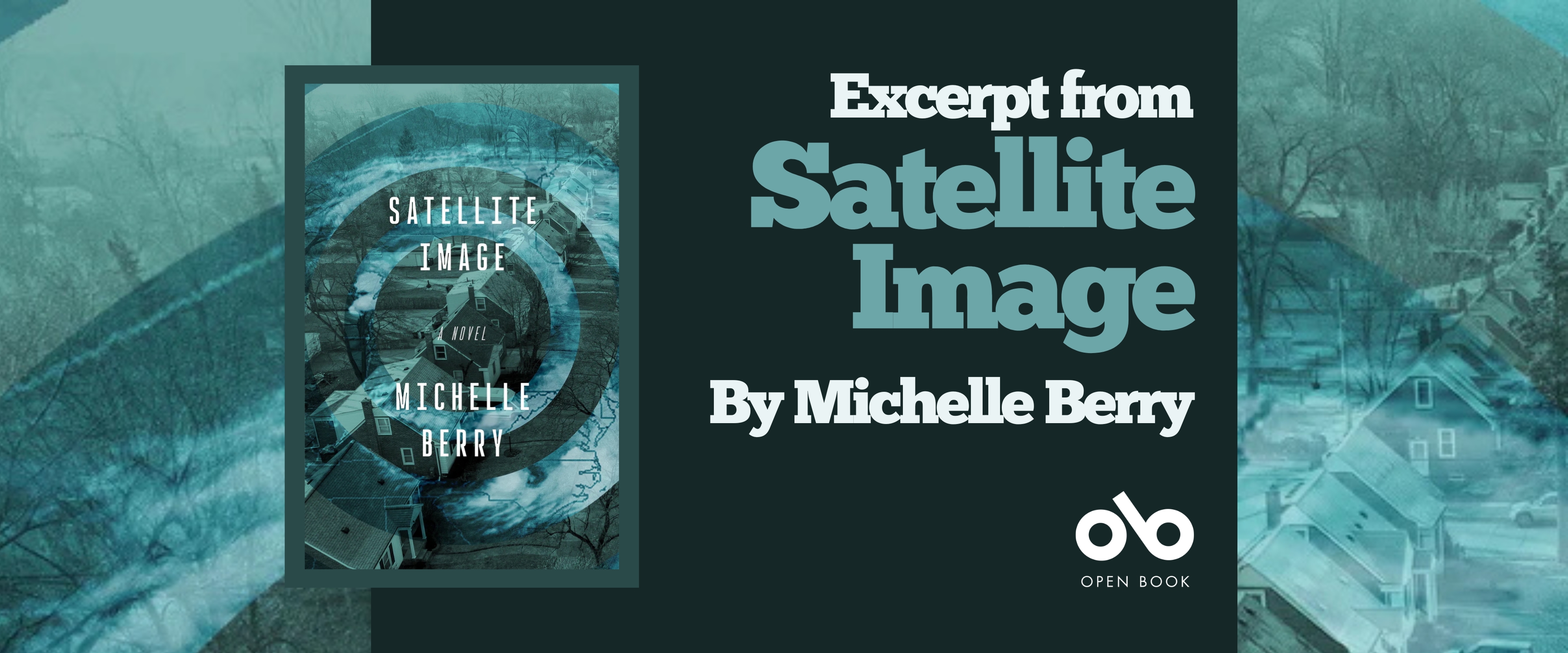 Read an Excerpt from Satellite Image, the New Novel from Michelle Berry ...