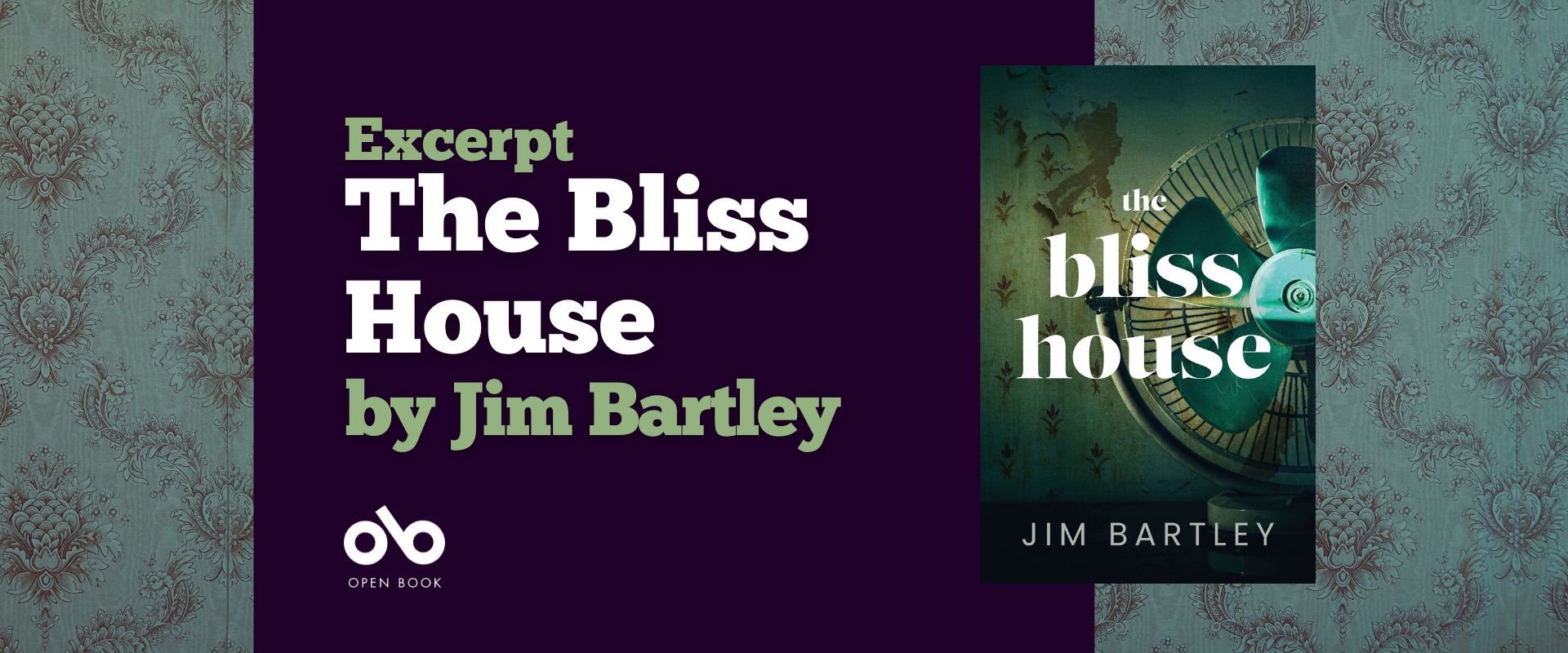 Read an Excerpt from The Bliss House, Jim Bartley's Atmospheric Dive ...