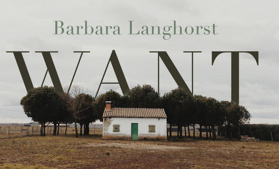 Read an Excerpt from Want by Barbara Langhorst, A Sharp, Funny Family ...