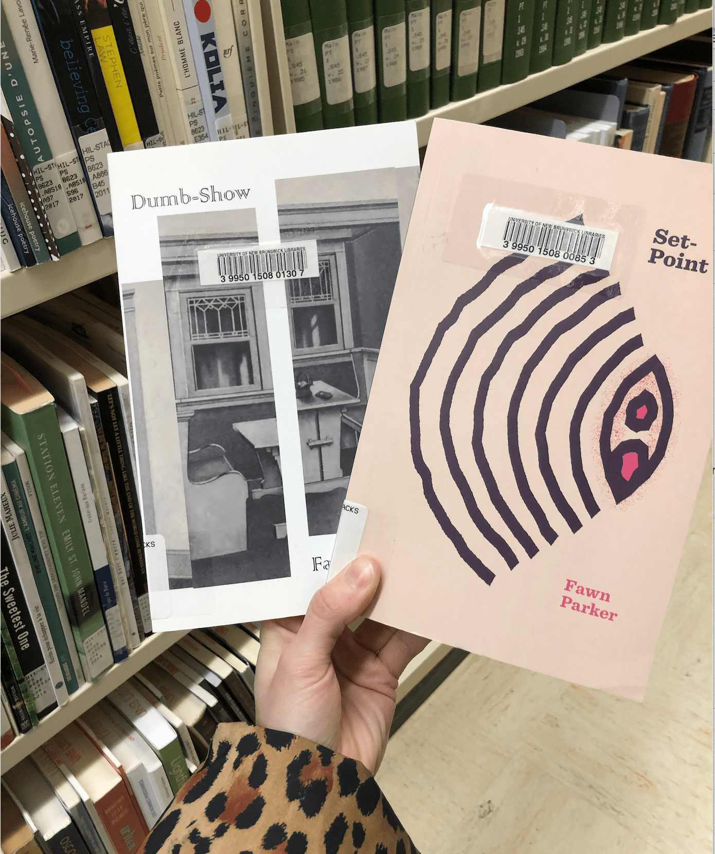 The Infinite Library | Open Book